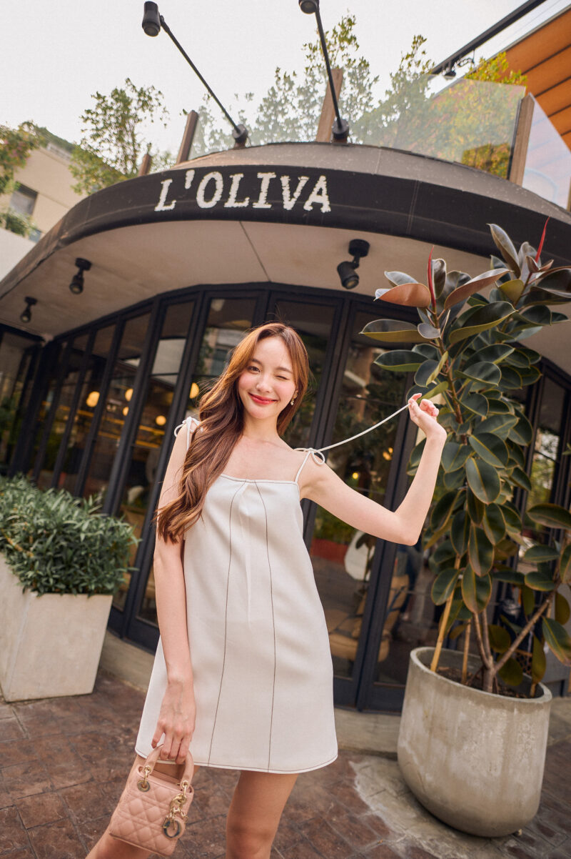 Chilly Dress – Chananya Official